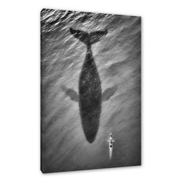 Pixxprint Leinwandbild Riesiger Wal Schatten