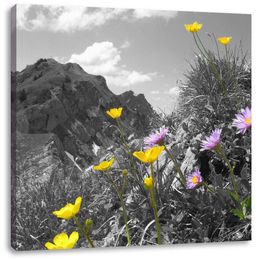 Pixxprint Leinwandbild Blumenwiese im Frühling