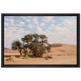 Pixxprint Leinwandbild Bäume in Wüstenlandschaft