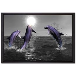 Pixxprint Leinwandbild Fröhliche Delfine springen im Meer
