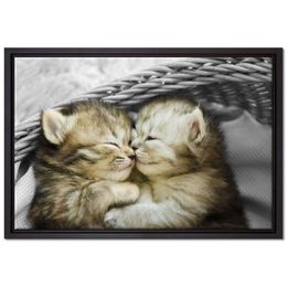 Pixxprint Leinwandbild Zwei süße Babykatzen im Korb