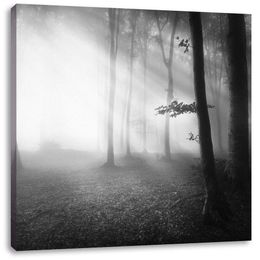 Pixxprint Leinwandbild Düsterer Wald im Nebel