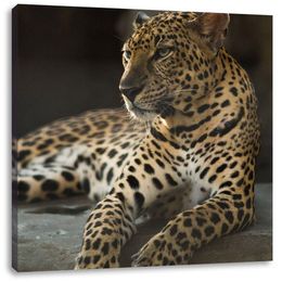 Pixxprint Leinwandbild Majestätischer Leopard