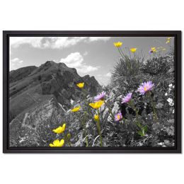 Pixxprint Leinwandbild Blumenwiese im Frühling