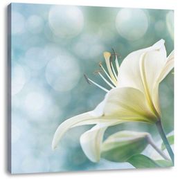 Pixxprint Leinwandbild Wunderschöne Lilien