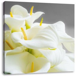 Pixxprint Leinwandbild Wunderschöne weiße Calla Lilien