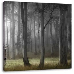 Pixxprint Leinwandbild Hirsch im Wald