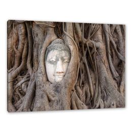 Pixxprint Leinwandbild Buddha Kopf im Baum