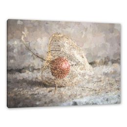 Pixxprint Leinwandbild Physalis