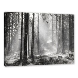 Pixxprint Leinwandbild Sonnenstrahlen im Wald