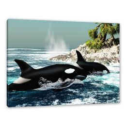 Pixxprint Leinwandbild Orcas vor Insel
