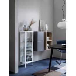 IKEA BAGGEBO Schrank mit Vitrinentüren