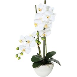 Kunstpflanze Orchidee Orchidee, Creativ green, weiß