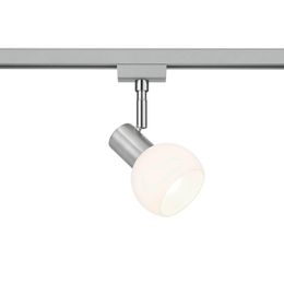 Trio Lighting Spot für DUOline-Schienensystem, Opalglas/nickel
