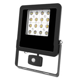 EVN Lichttechnik EVN Panthera Außenstrahler Sensor IP44 30W 4.000K