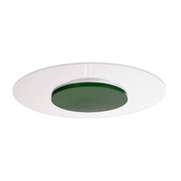 Deko-Light LED-Deckenleuchte Zaniah, 360°-Licht, 24W, grün