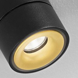 Egger Licht Egger Clippo Duo LED-Spot, schwarz-gold, 2.700K