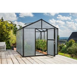 Vitavia Gewächshaus Zeus 8100, BxTxH: 266 x 324 x 250 cm, 16 mm Wandstärke, schwarz