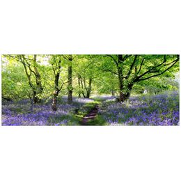 Wallario Glasbild, Blaues Hasenglöckchen im Wald