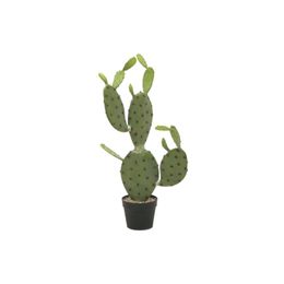 EUROPALMS Blätterkaktus, Kunstpflanze, 75cm