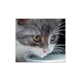 Primedeco Herd-Abdeckplatte »Spritzschutz Herdabdeckplatte Schneidebrett aus Glas Hungrige Katze