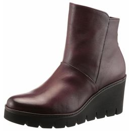 Große Größen: Gabor Stiefelette, bordeaux, Gr.36