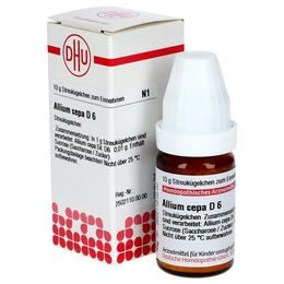DHU-Arzneimittel ALLIUM CEPA D 6 Globuli