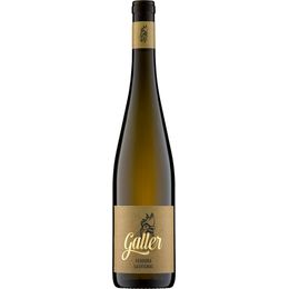 Weingut Galler FEODORA Sauvignac 2021 Trocken - Pfalz – Weißwein Spätlese