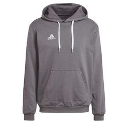 adidas Performance Athletic Sweatshirt 'Entrada 22' male Grey size XL
