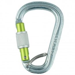 Edelrid - HMS Bruce Steel Screw FG II - HMS-Karabiner grau