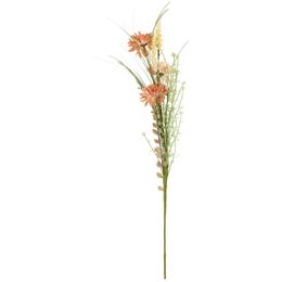 buttinette Wiesenblumen Pick, apricot, 70 cm