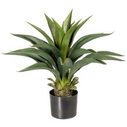 Künstliche Zimmerpflanze Svala Agave, Andas, Höhe 56 cm, grün