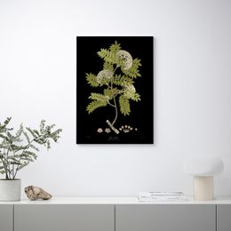 IKEA KATEBO Bild