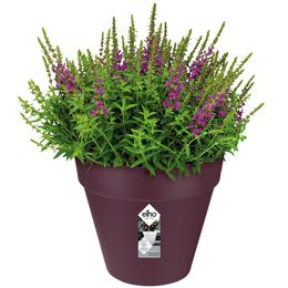 Elho Blumentopf Maulbeere Matt 25x22cm 5,5L