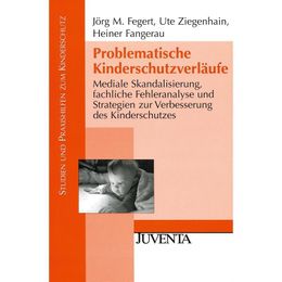 Problematische Kinderschutzverläufe - Jörg M. Fegert, Ute Ziegenhain, Heiner Fangerau, Kartoniert (TB)