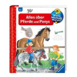 RAVENSBURGER VERLAG Alles über Pferde und Ponys / Wieso? Weshalb? Warum? Bd.21 - Andrea Erne, Pappband