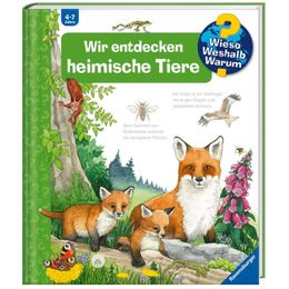 RAVENSBURGER VERLAG Wir entdecken heimische Tiere / Wieso? Weshalb? Warum? Bd.71 - Patricia Mennen, Pappband
