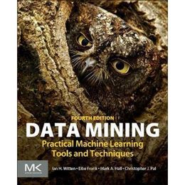 Data Mining - Ian H. Witten, Eibe Frank, Mark A. Hall, Kartoniert (TB)