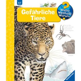 RAVENSBURGER VERLAG Gefährliche Tiere / Wieso? Weshalb? Warum? Bd.49 - Angela Weinhold, Pappband