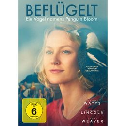 LEONINE Beflügelt - Ein Vogel namens Penguin Bloom (DVD)