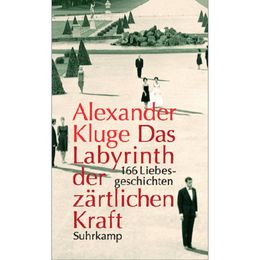 Das Labyrinth der zärtlichen Kraft, m. DVD - Alexander Kluge, Gebunden