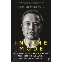 Insane Mode - Hamish McKenzie, Taschenbuch