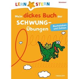 LERNSTERN Mein dickes Buch der Schwungübungen zum Schulstart - Birgit Fuchs, Kartoniert (TB)