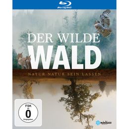 Alive Der Wilde Wald - Natur Natur sein lassen (Blu-ray)