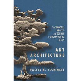 Princeton University Press Ant Architecture - The Wonder, Beauty, and Science of Underground Nests - Walter R. Tschinkel, Gebunden