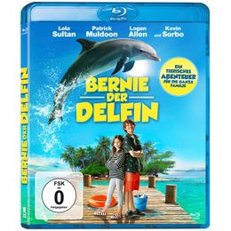 Bernie, der Delfin (Blu-ray)