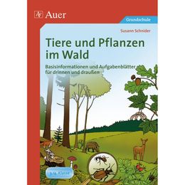 Tiere und Pflanzen im Wald - Susann Schnider, Kartoniert (TB)
