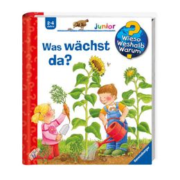 RAVENSBURGER VERLAG Was wächst da? / Wieso? Weshalb? Warum? Junior Bd.22 - Constanza Droop, Pappband