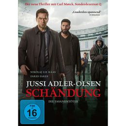 Warner Home Video Schändung (DVD)