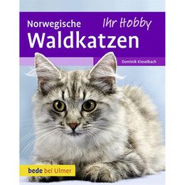 Norwegische Waldkatzen - Elvira Walz, Dominik Kieselbach, Gebunden